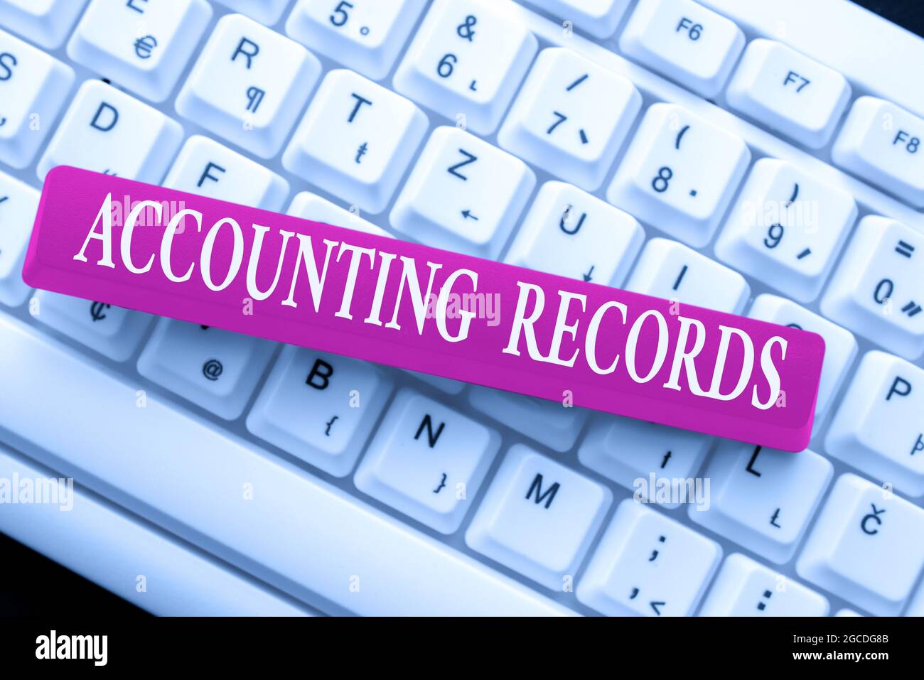 Sign displaying Accounting Records. Business concept Manual or ...