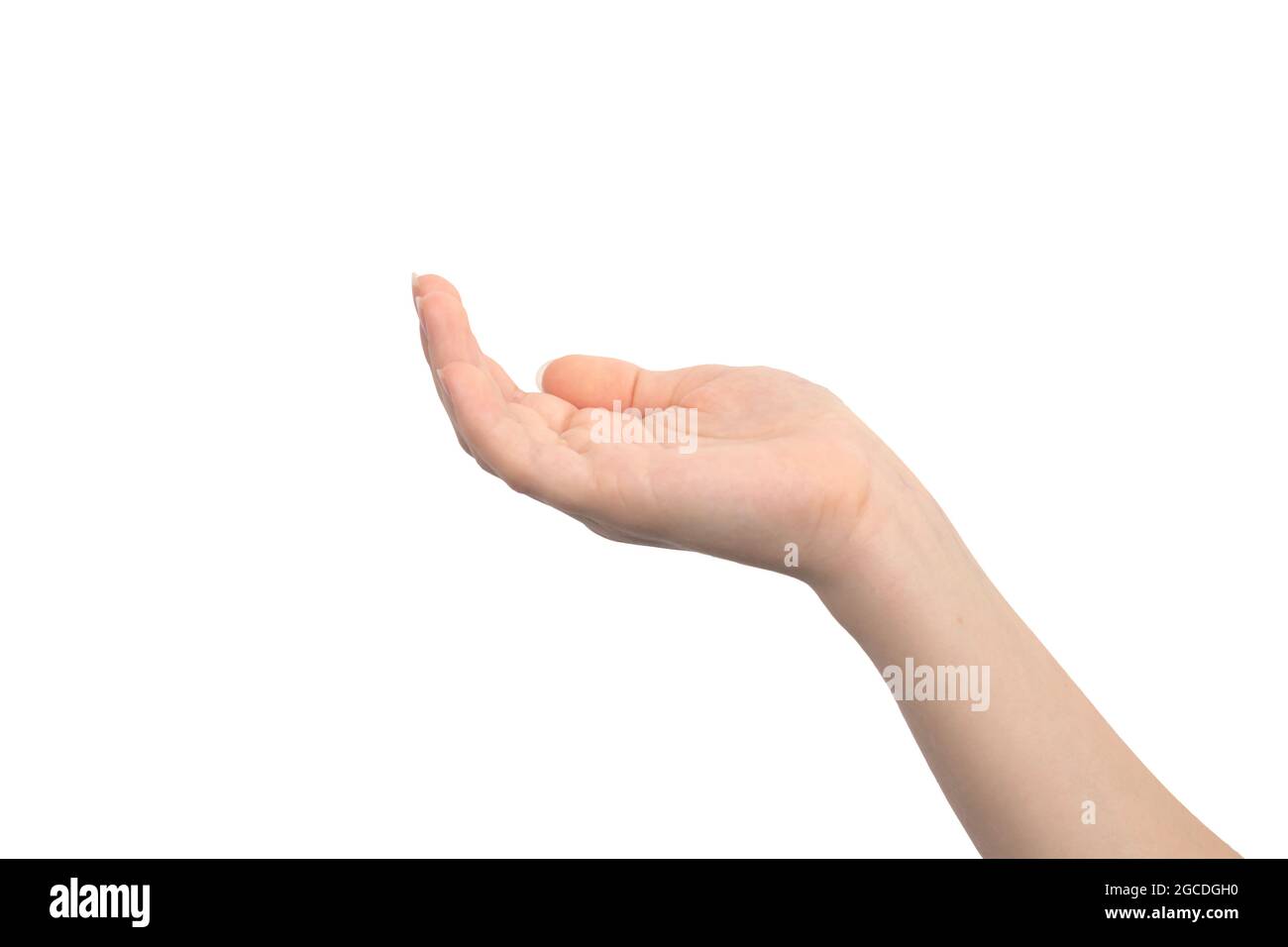 Empty hand palm up gesture, isolated on a white background, young ...