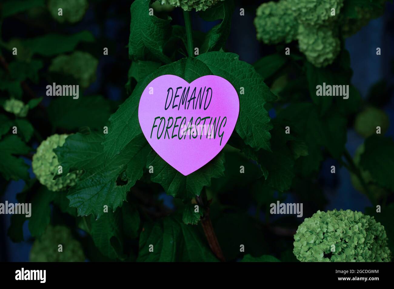 Text showing inspiration Demand Forecasting. Business concept predict ... Text showing inspiration Demand Forecasting. Business concept predict ...