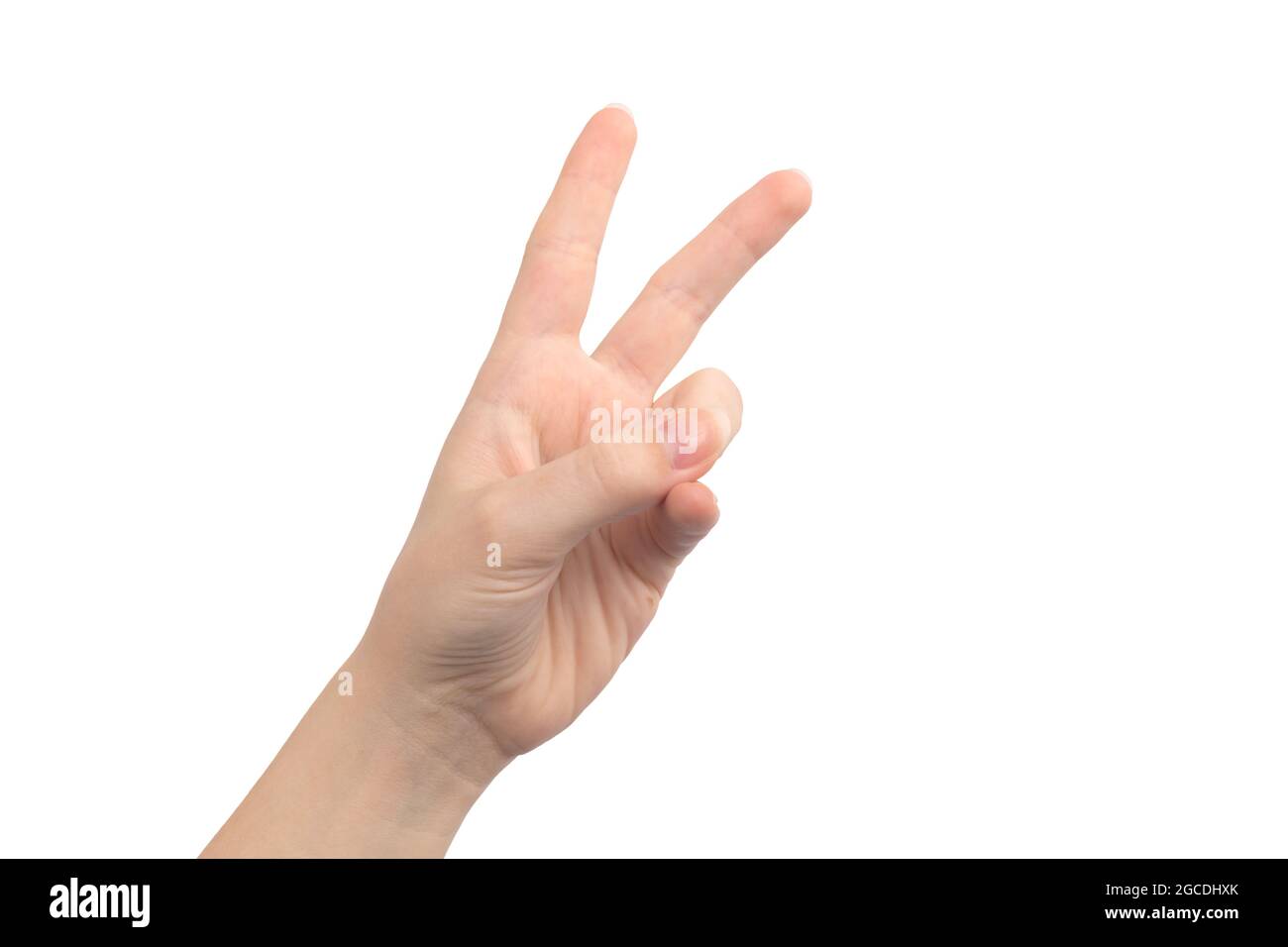 Hand gesture victory sign, two fingers, isolated on a white background ...