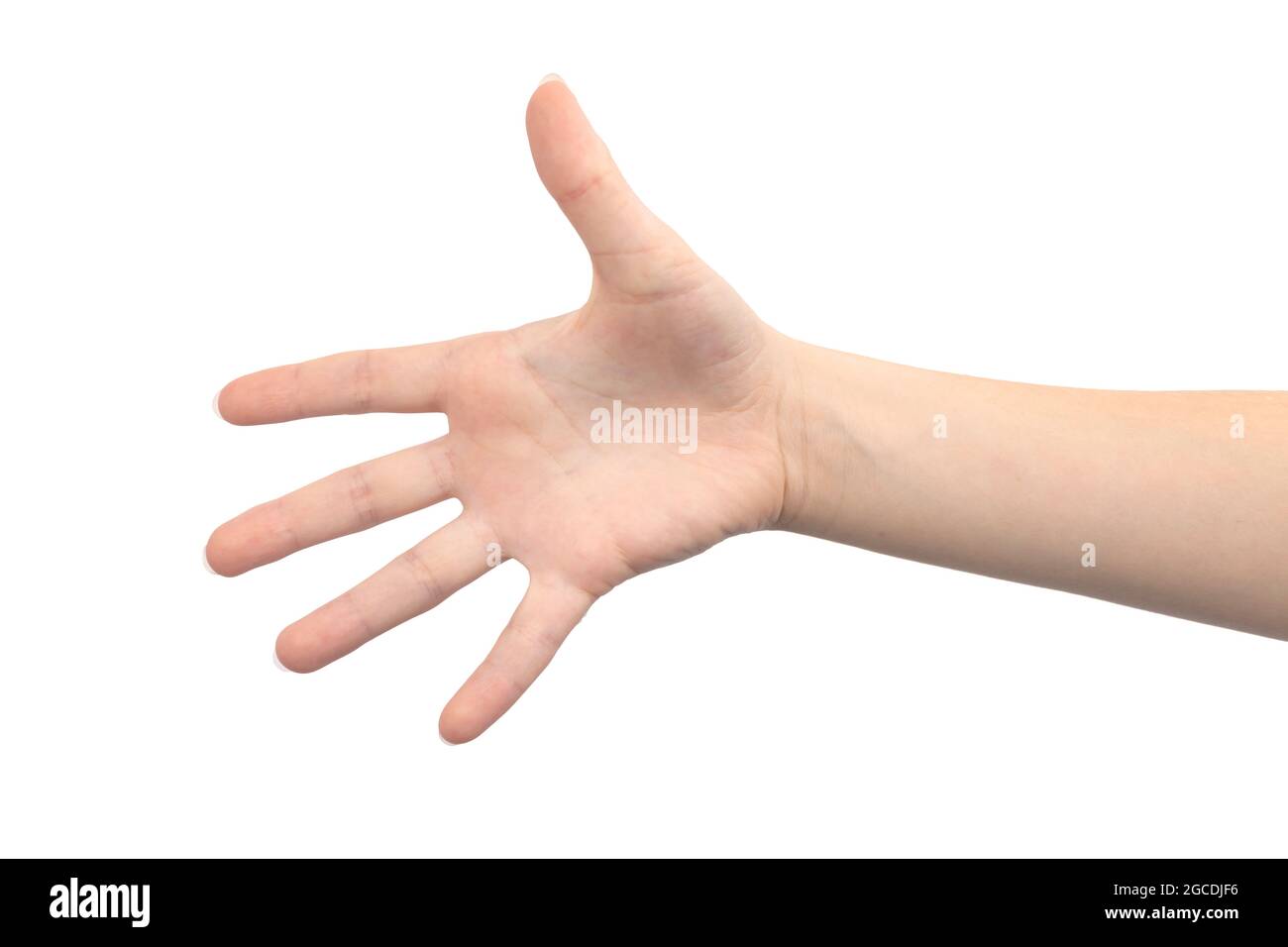 Hand gesture palm open with five fingers, isolated on a white ...