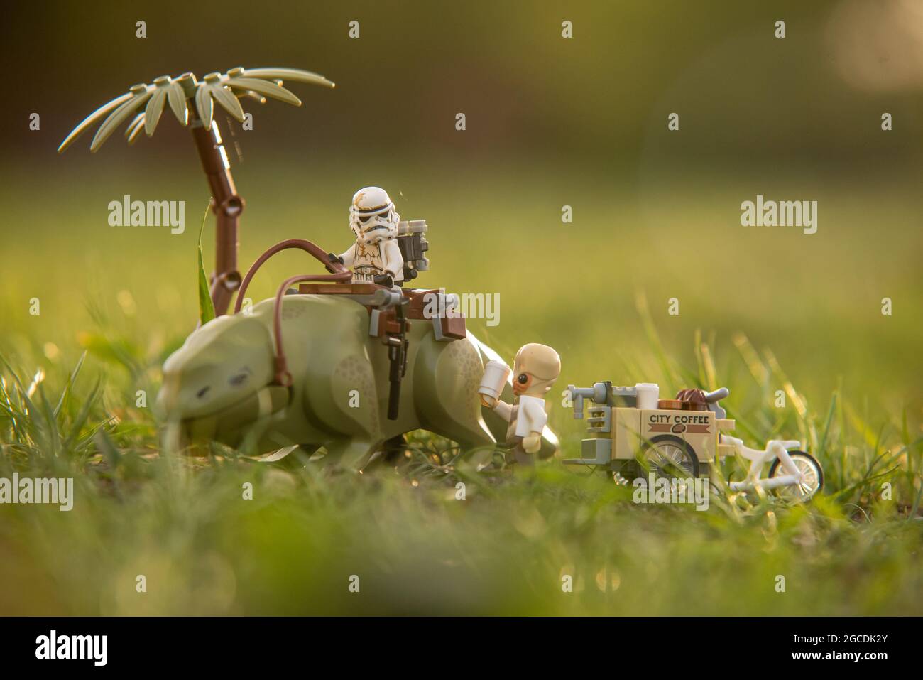Lego star wars minifigure stormtrooper on Dewback Stock Photo - Alamy