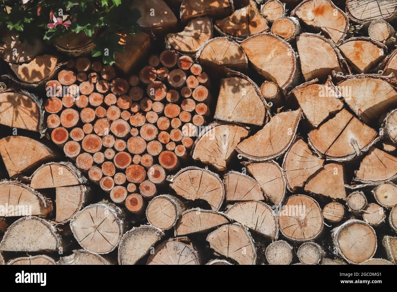 Tree group in heart shape hi-res stock photography and images - Alamy