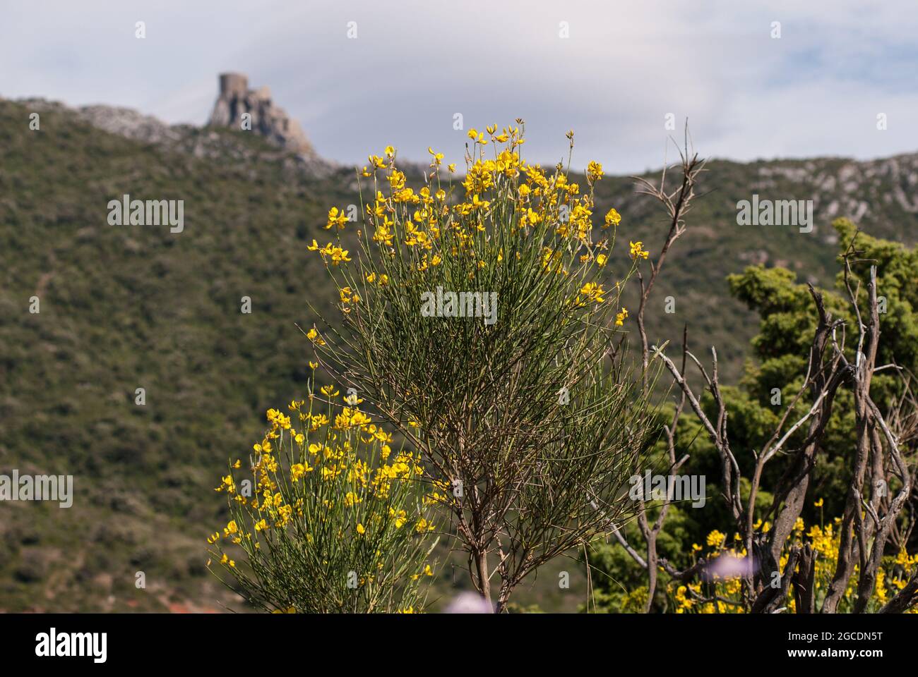 Cathar castles hi-res stock photography and images - Alamy