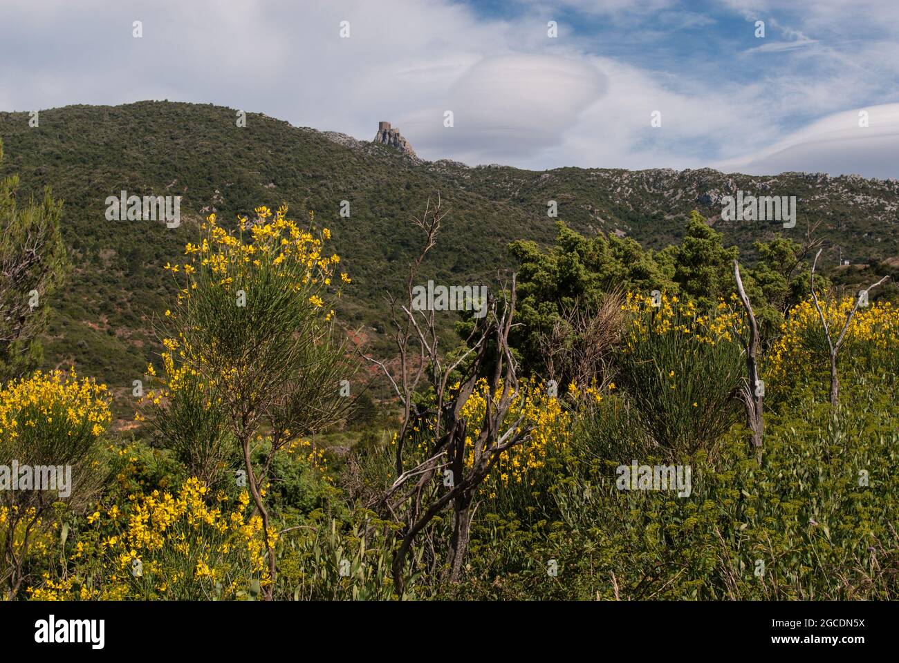 Well defended castle hi-res stock photography and images - Alamy