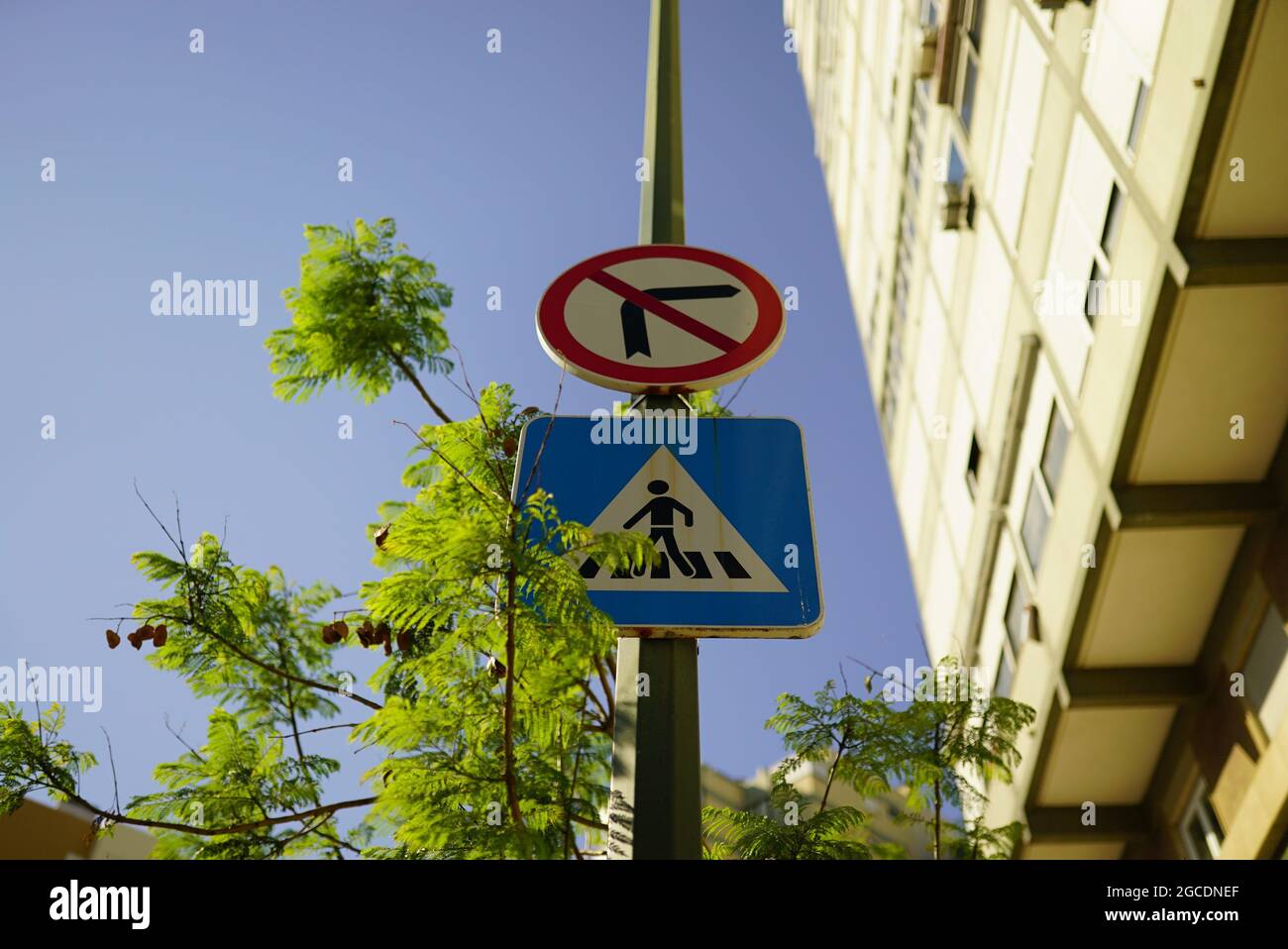 A pedestrian crossing road and "no turn right" signs on the metal post ...