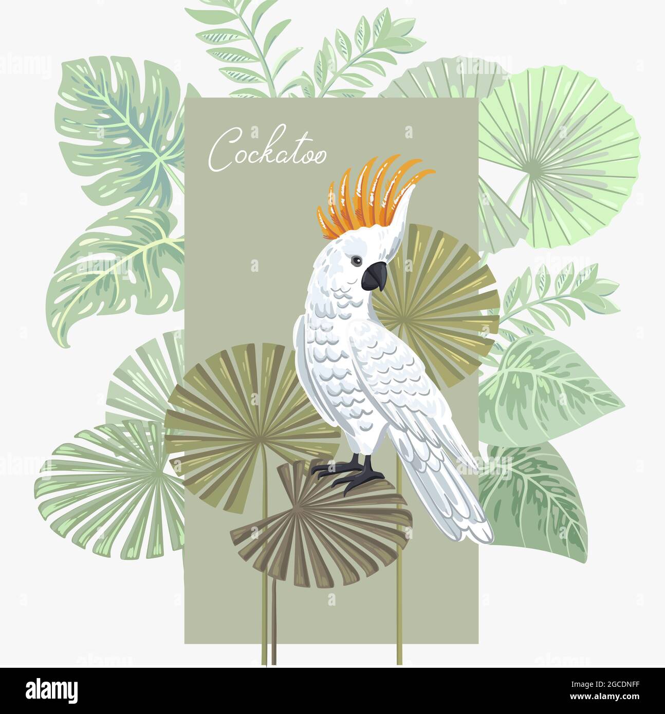 Cockatoo on the leaves of tropical plants. Vector illustration Stock ...