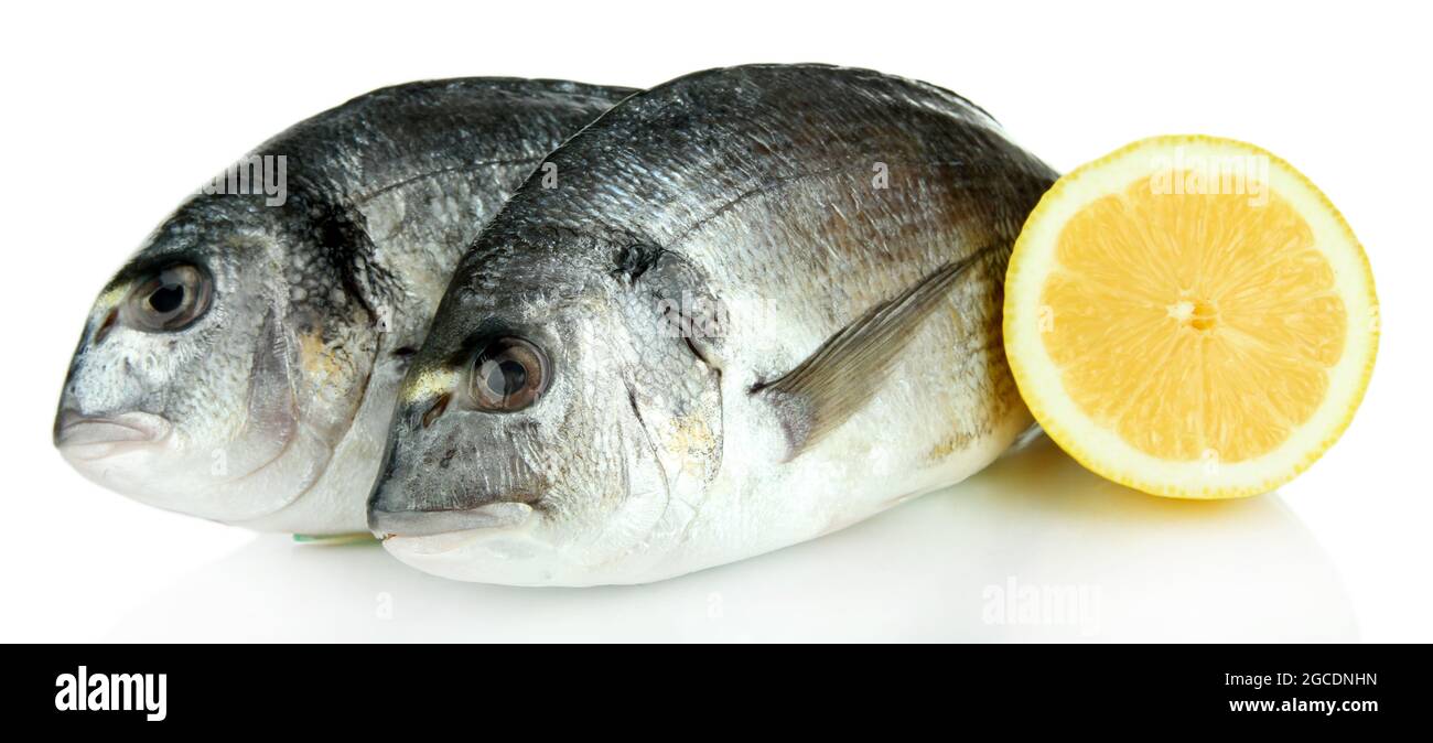 Dorado fish isolated on white Stock Photo - Alamy