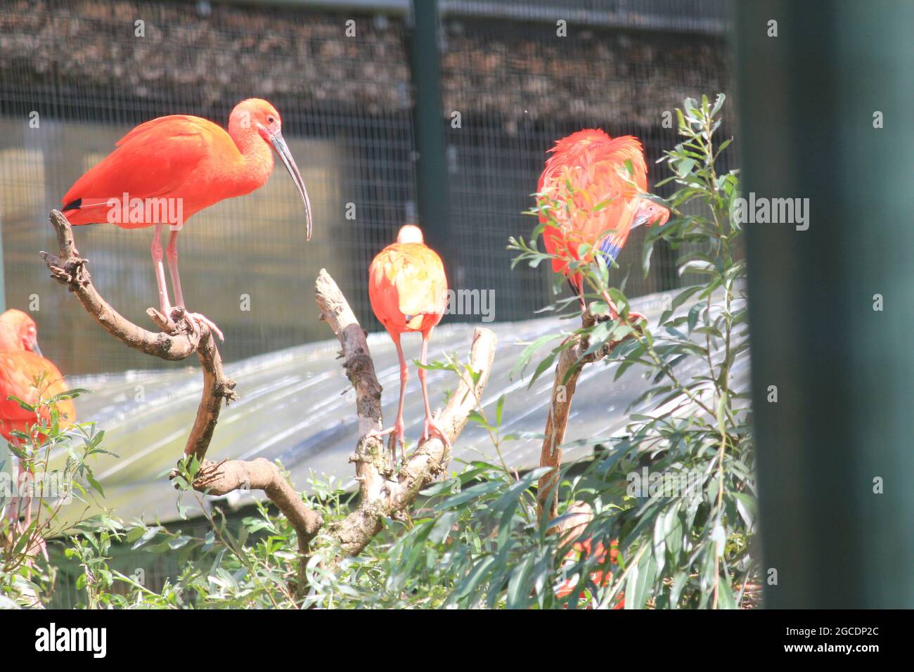 Narrow inky hi-res stock photography and images - Alamy