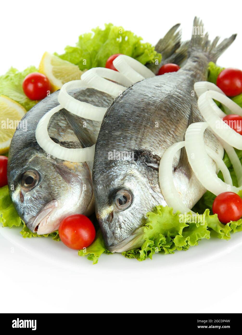 Dorado fish isolated on white Stock Photo - Alamy