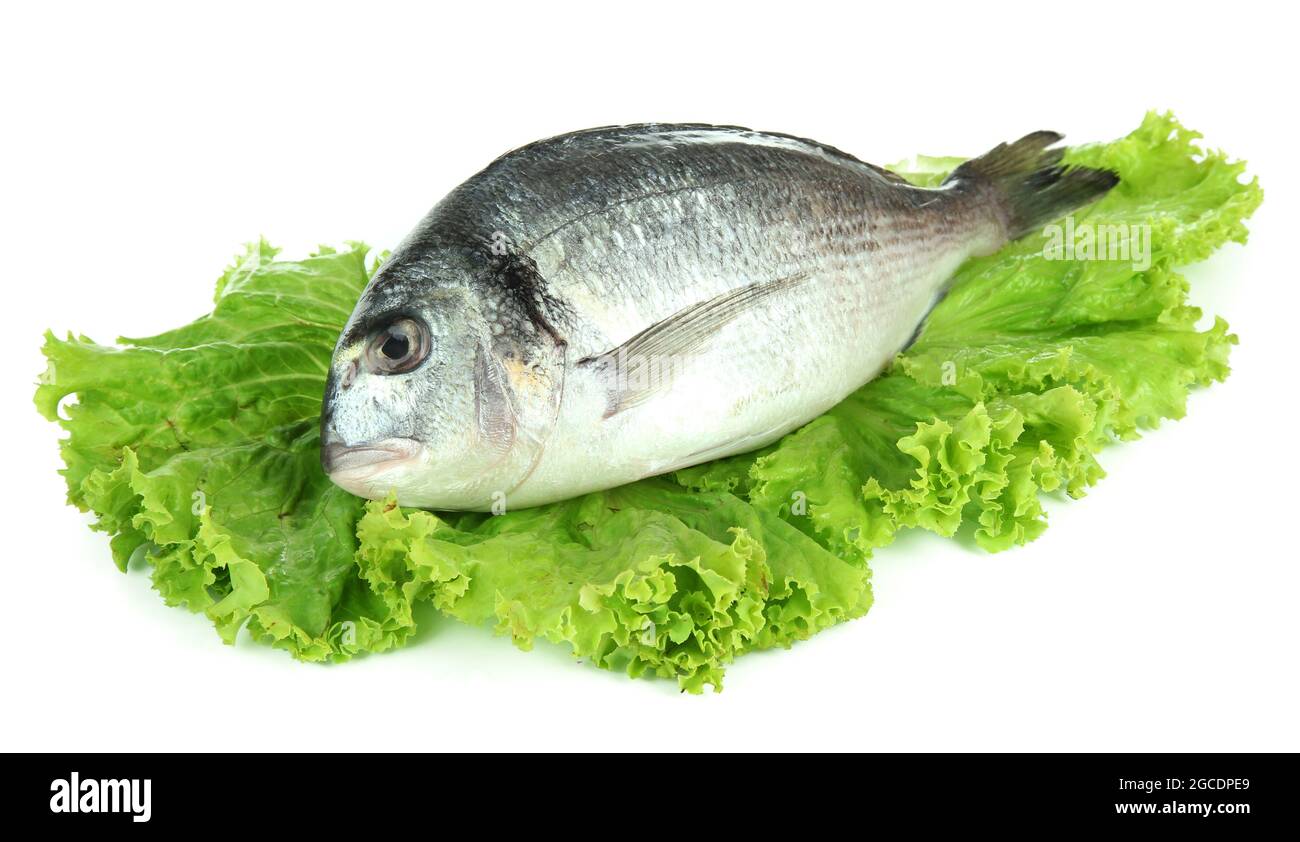 Dorado fish isolated on white Stock Photo - Alamy