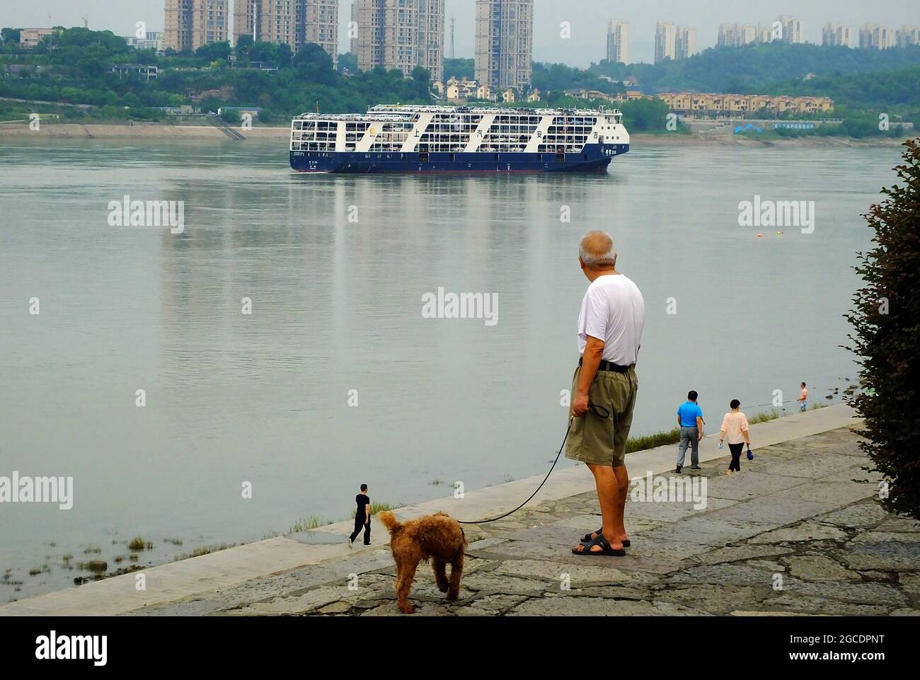 YICHANG, CHINA - AUGUST 8, 2021 - Anji 208, a car carrier carrying ...