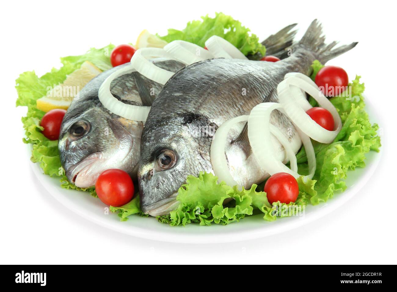Dorado fish isolated on white Stock Photo - Alamy