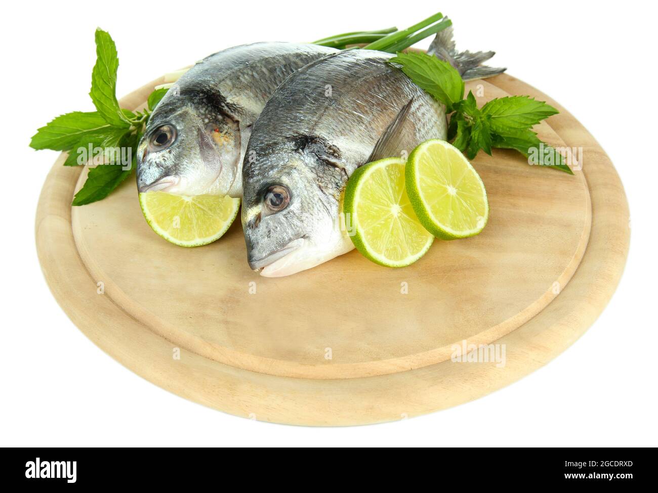 Dorado fish isolated on white Stock Photo - Alamy