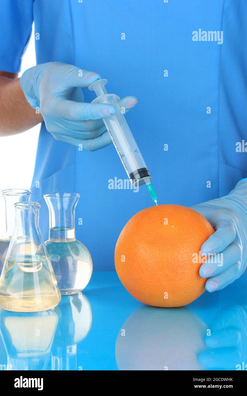 Scientists make injection into fresh grapefruit in laboratory Stock ...