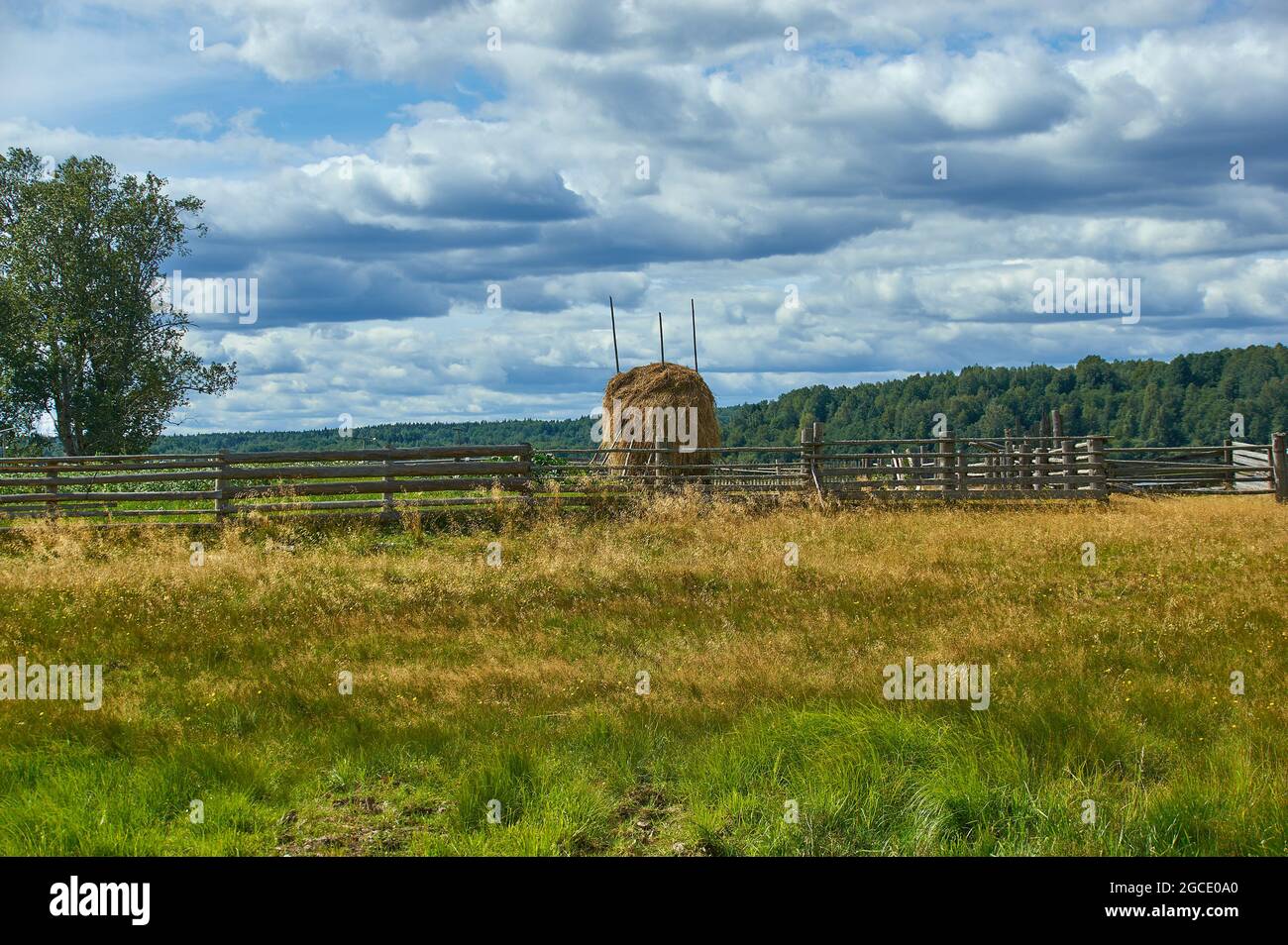Russian summer meadow, Kenozersky National Park Arkhangelsk region ...