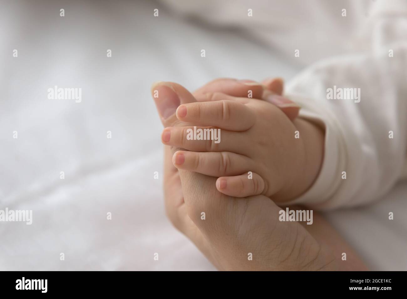 Hand baby adult hi-res stock photography and images - Alamy