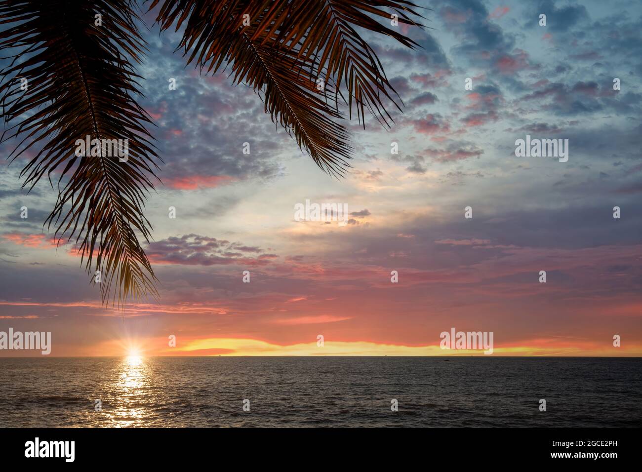 Puerto Vallarta Mexico Beaches Landscapes High Resolution Stock ...