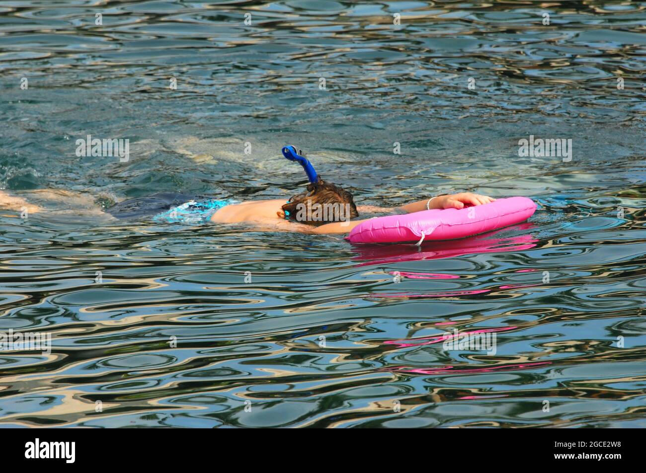 Beginner snorkler holds to a bright pink floatie as she snorkles face ...