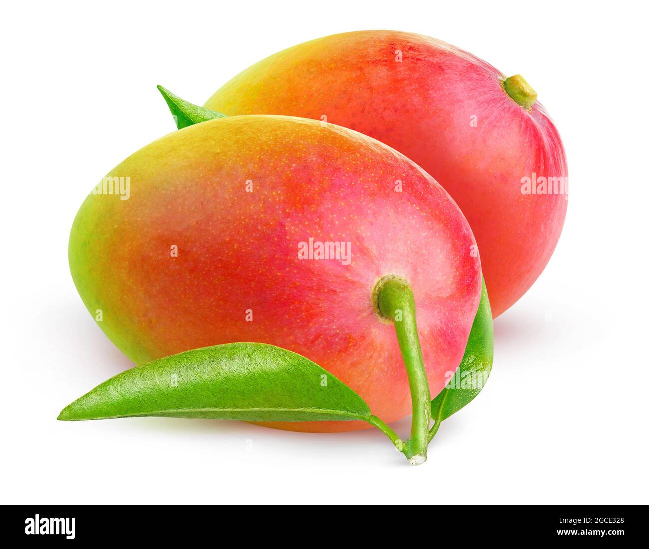 Two red mango fruits isolated on white background Stock Photo - Alamy