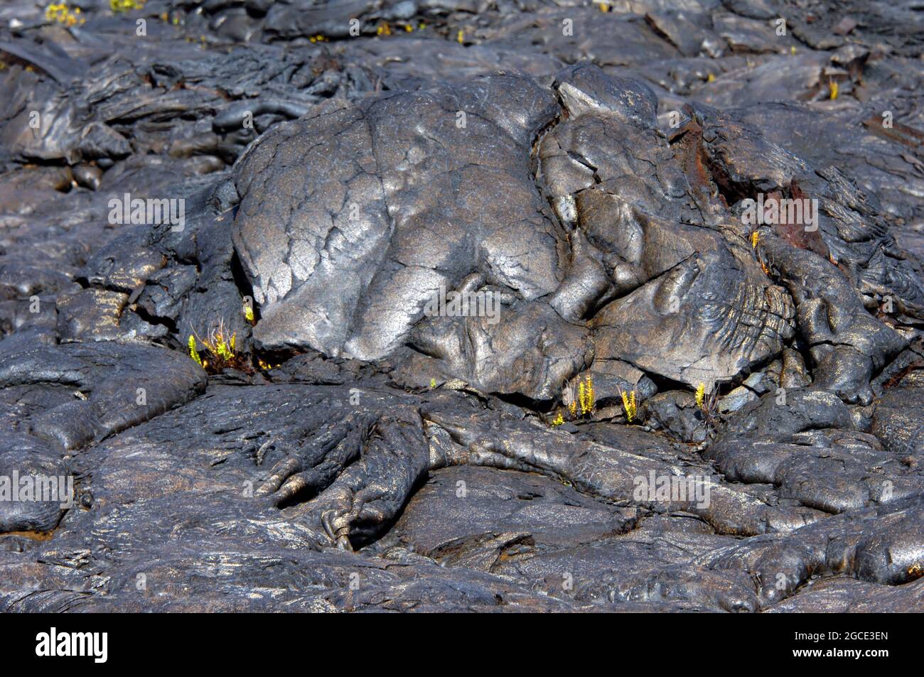 Big bubble of lava at Hawaii Volcanoes National Park hardens and crusts ...