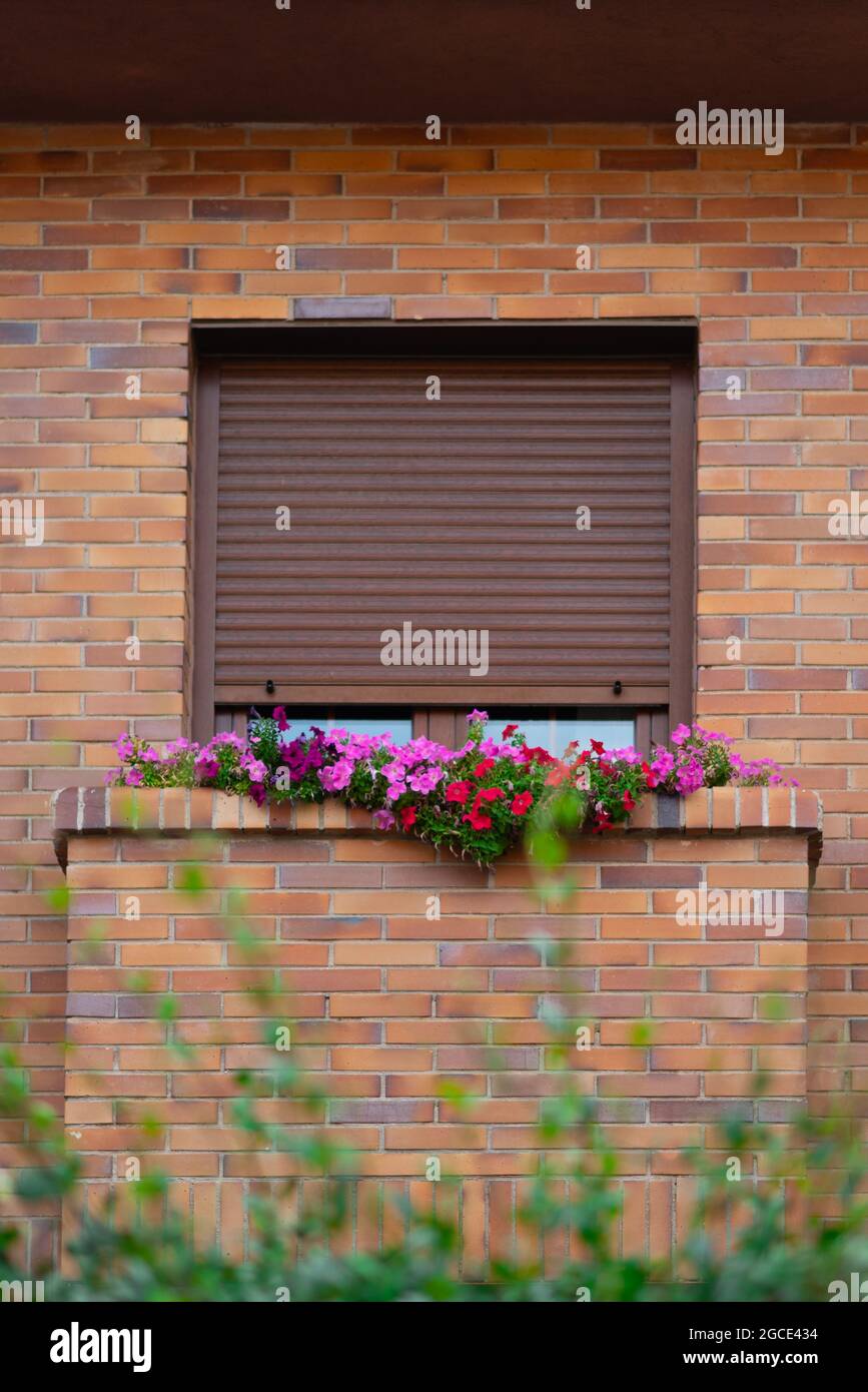 suburb window with colorful flowers Stock Photo - Alamy