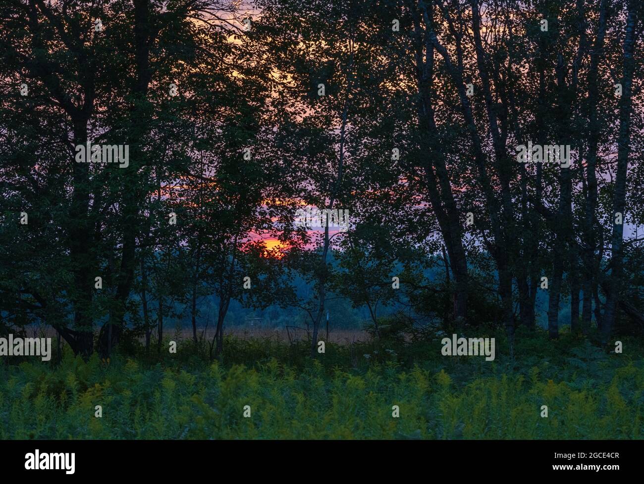 Calming scenery hi-res stock photography and images - Alamy