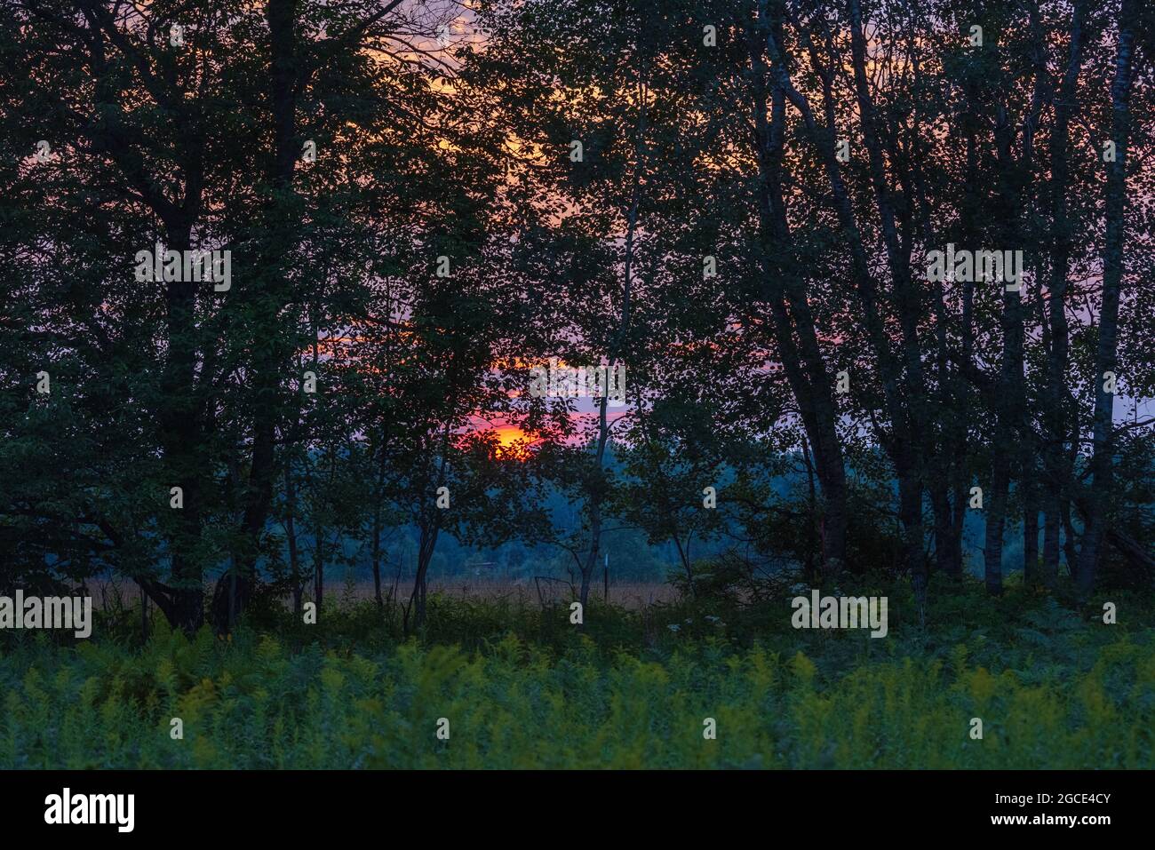 Calming scenery hi-res stock photography and images - Alamy