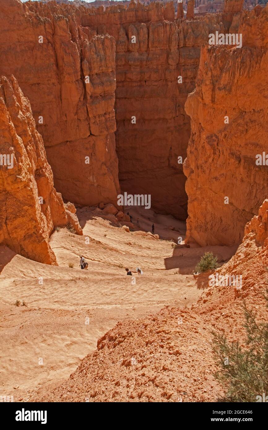 Hikers on the Switchbacks on the Navajo Trail 2483 Stock Photo - Alamy
