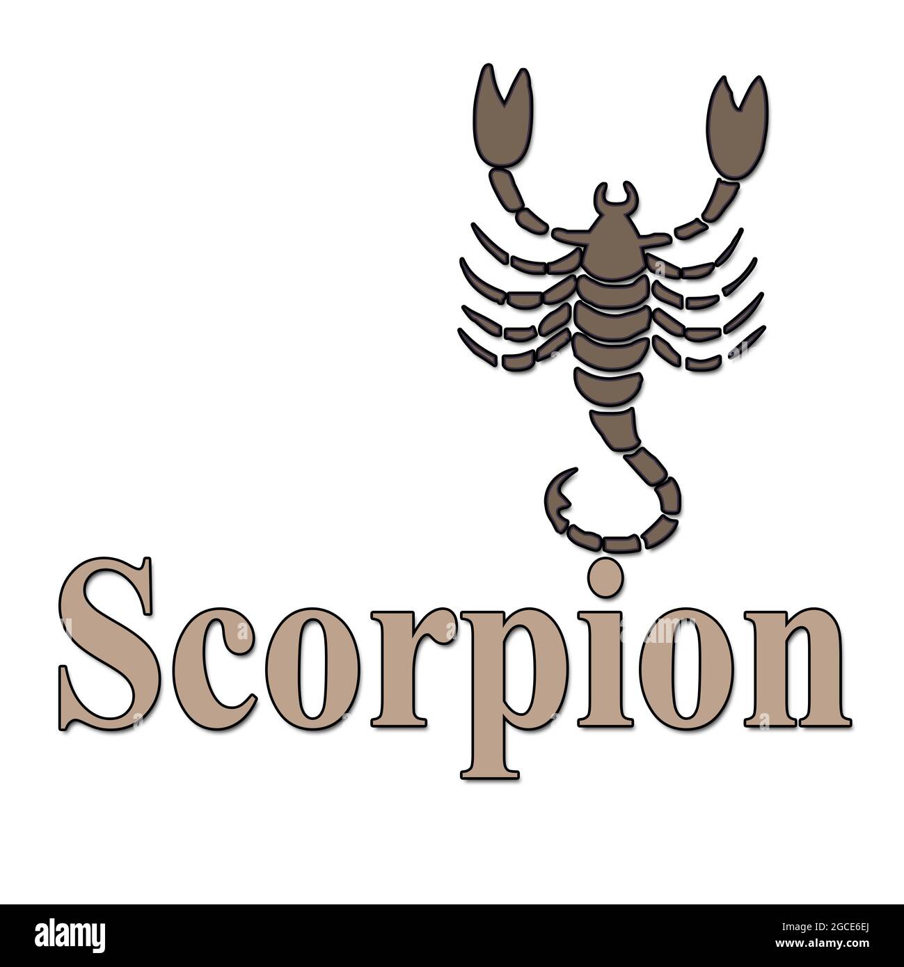 brown scorpion and text white background Stock Photo - Alamy