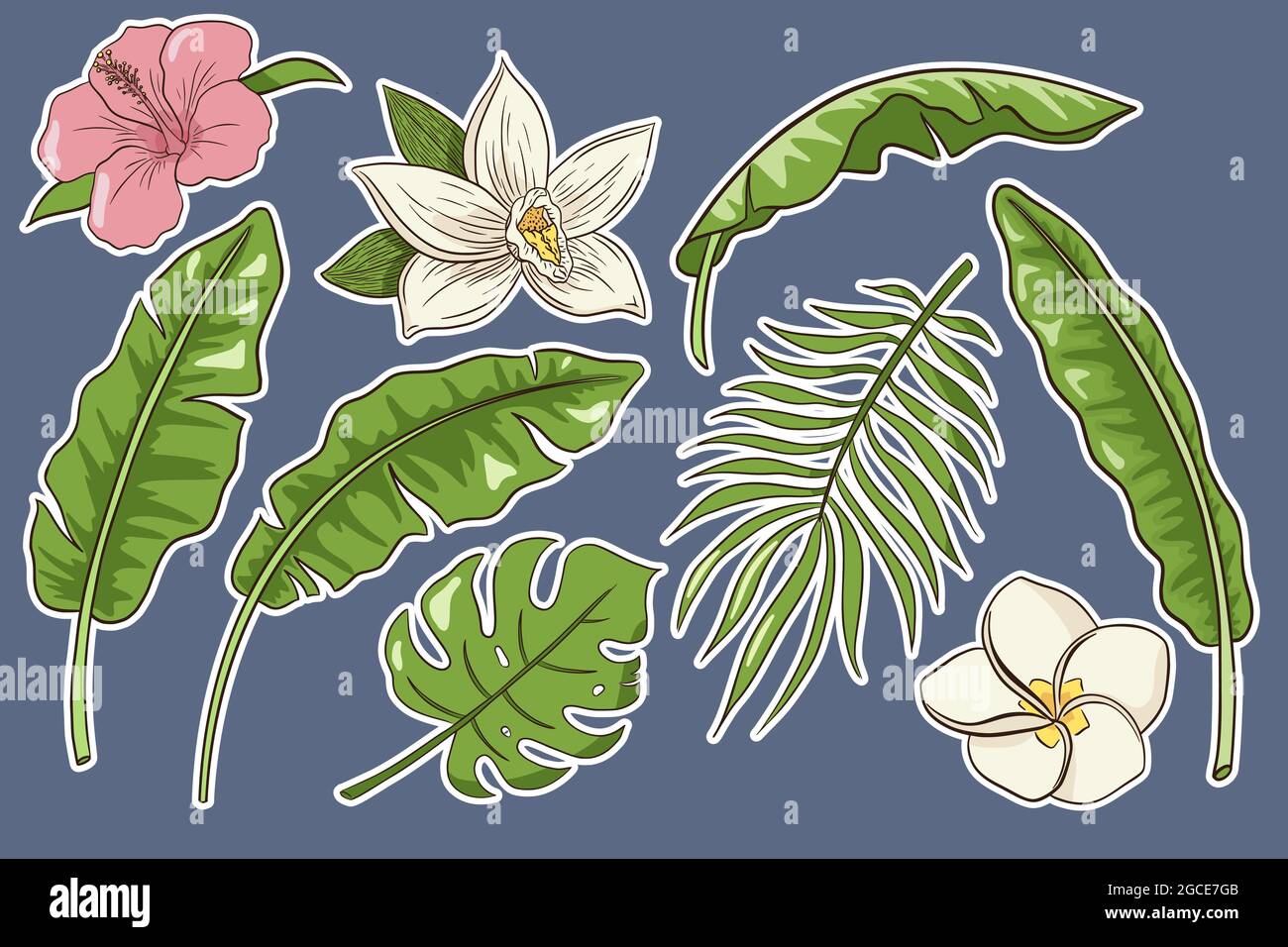 Tropical Flowers and Leaves Set. Stickers. Collection of hand drawn ...