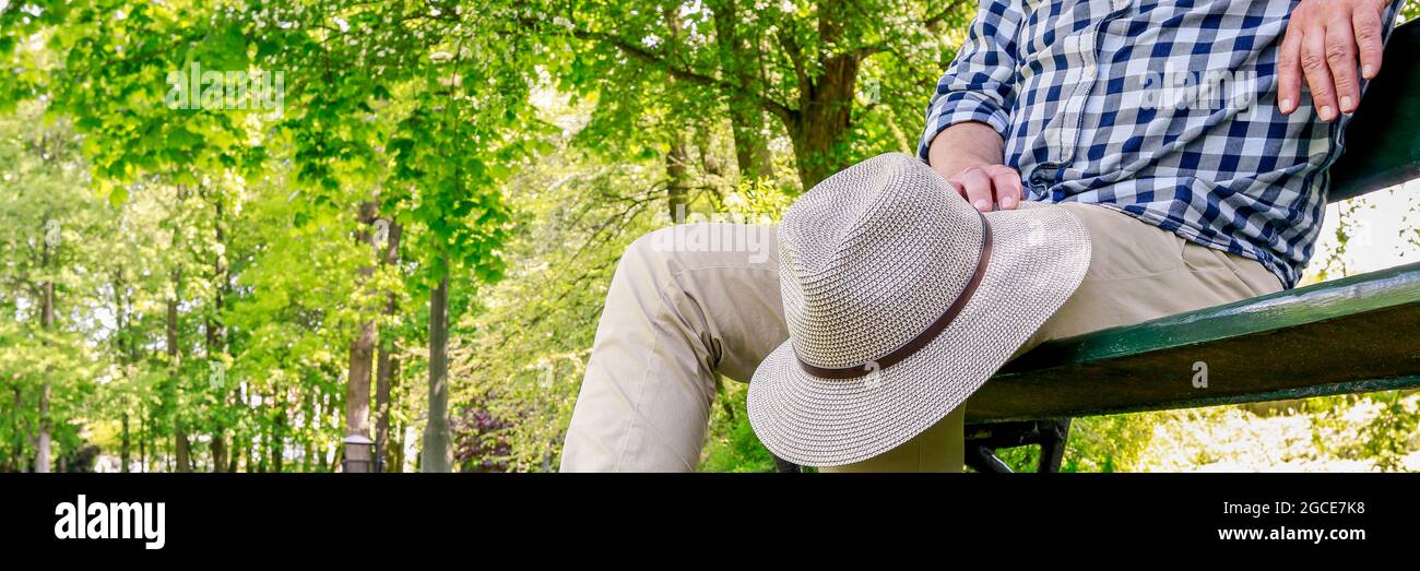 Man sitting on the bench in beautiful summer park. Relax time Stock ...