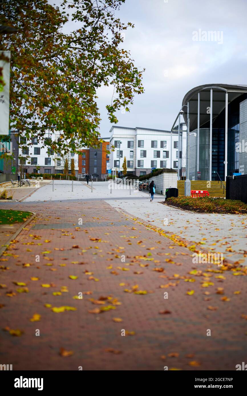 University of Hertfordshire campus, Hatfield Stock Photo - Alamy
