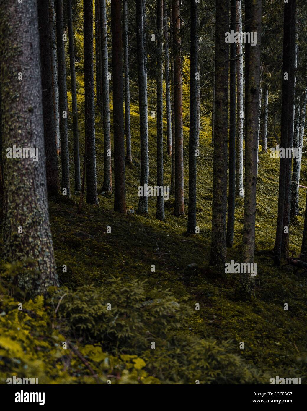 Lukas klima hi-res stock photography and images - Alamy