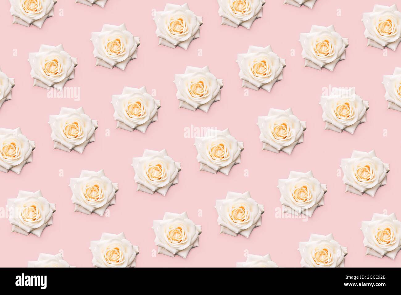 Floral white rose pattern Stock Photo - Alamy