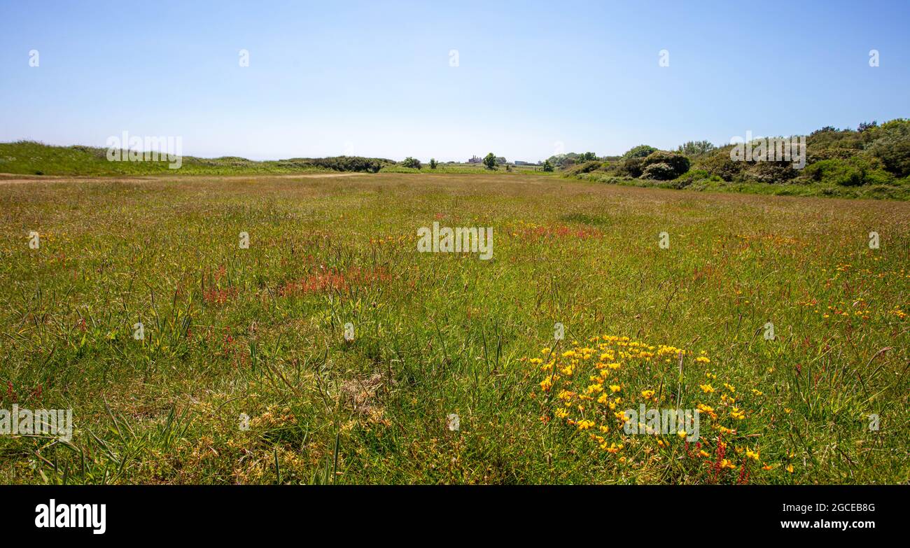 Suffolk summer landscape hi-res stock photography and images - Alamy