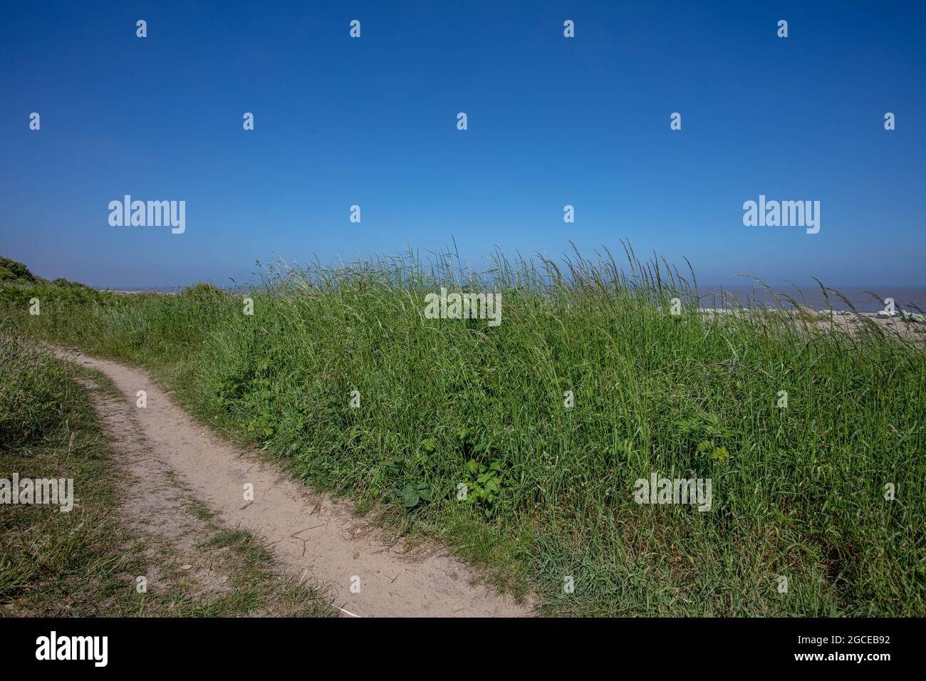 A Coastal Path at Thorpeness Suffolk Stock Photo - Alamy