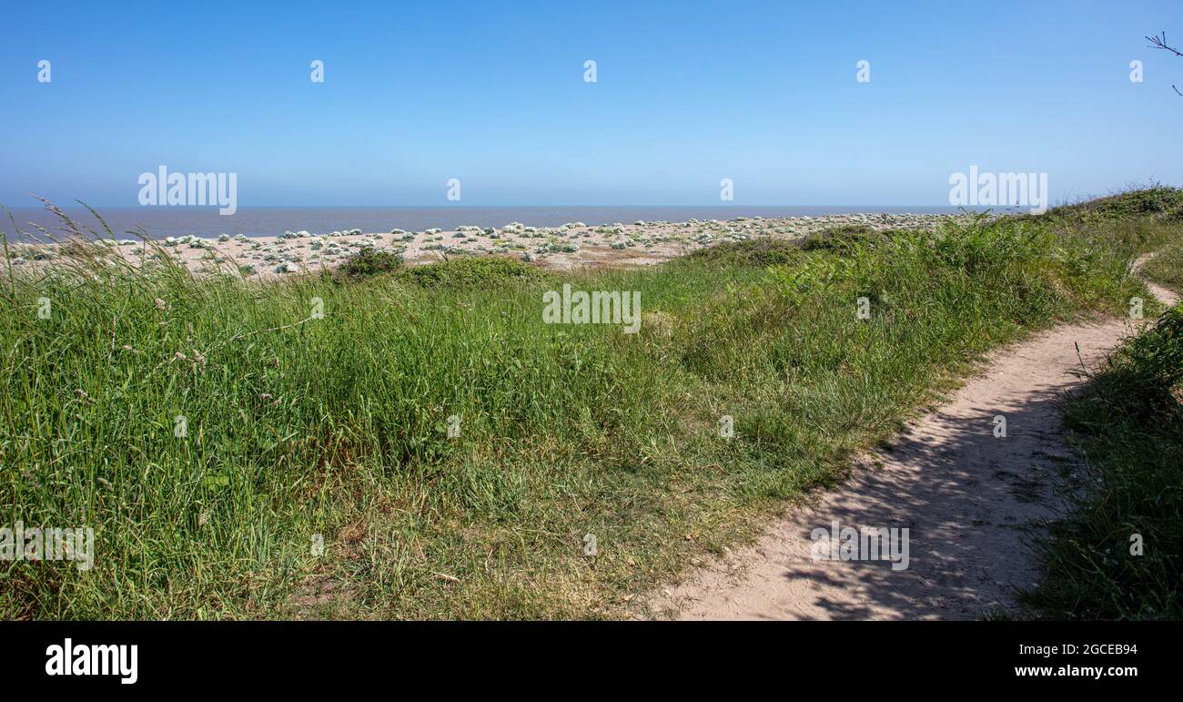 A Coastal Path at Thorpeness Suffolk Stock Photo - Alamy