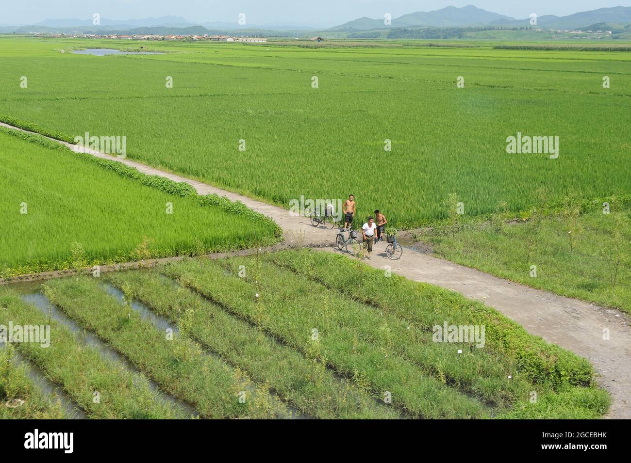 07.08.2012, North Korea, Asia - Rural scene in the countryside with ...