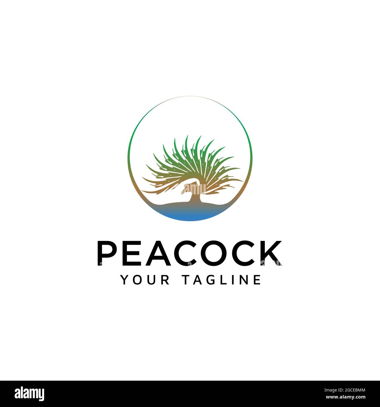 Nbc Peacock Logo Vector