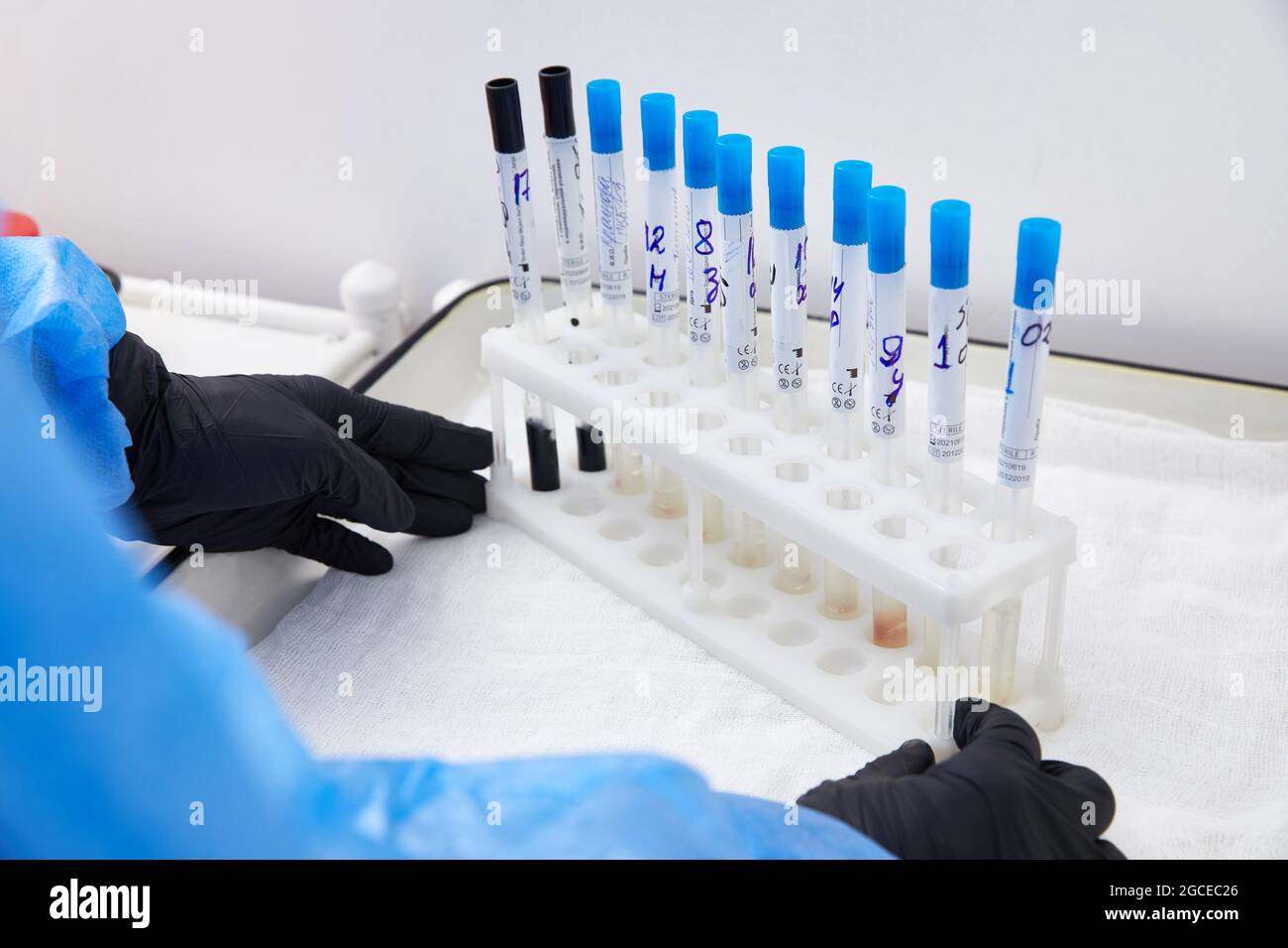 Test tubes rack with madical samples on the table at the modern ...