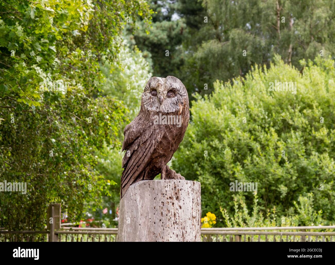Festival of Wheels, Ipswich – July 2021. Close and selective focus on an owl statue carved out ...