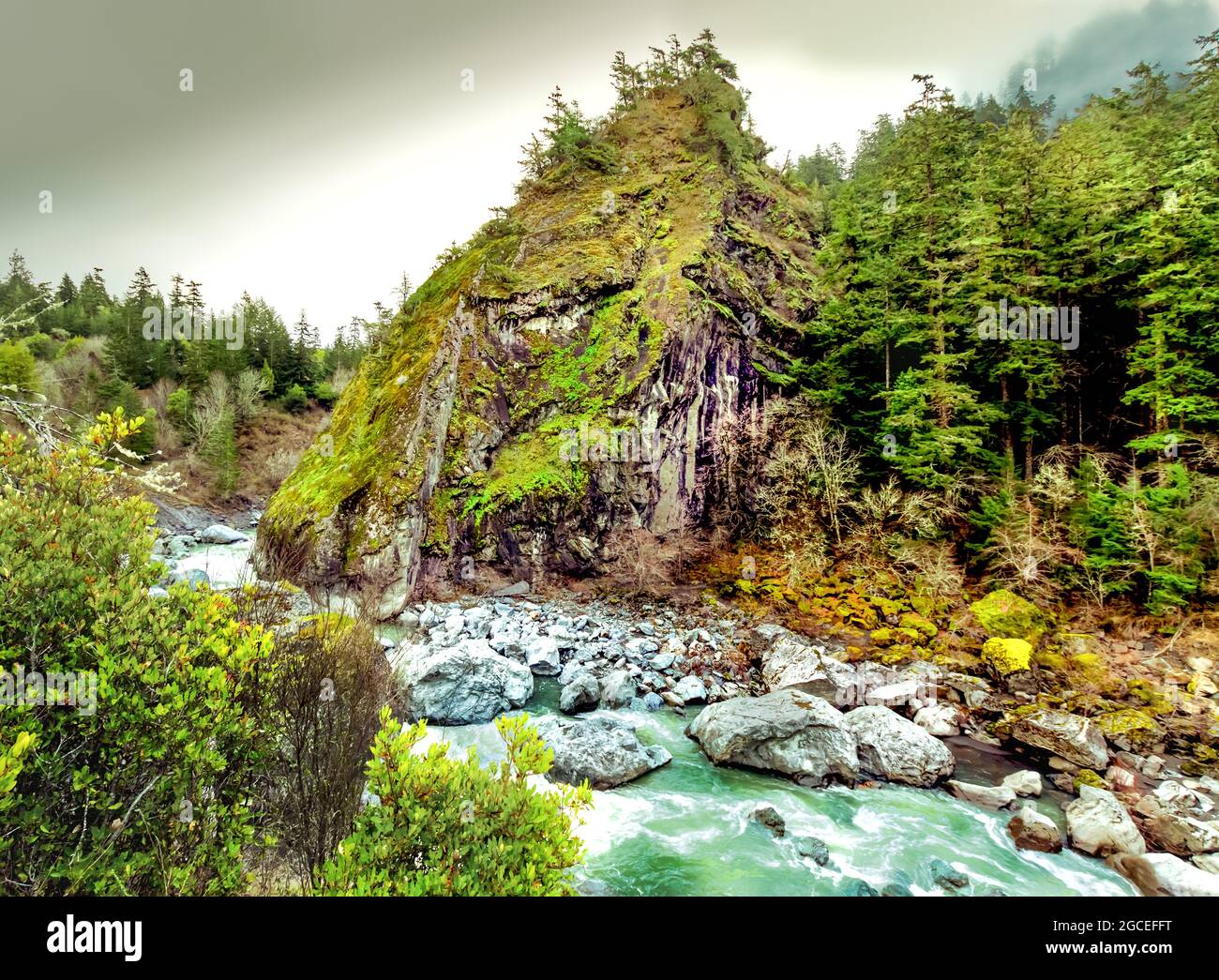 California Redwood National Park Stock Photo - Alamy