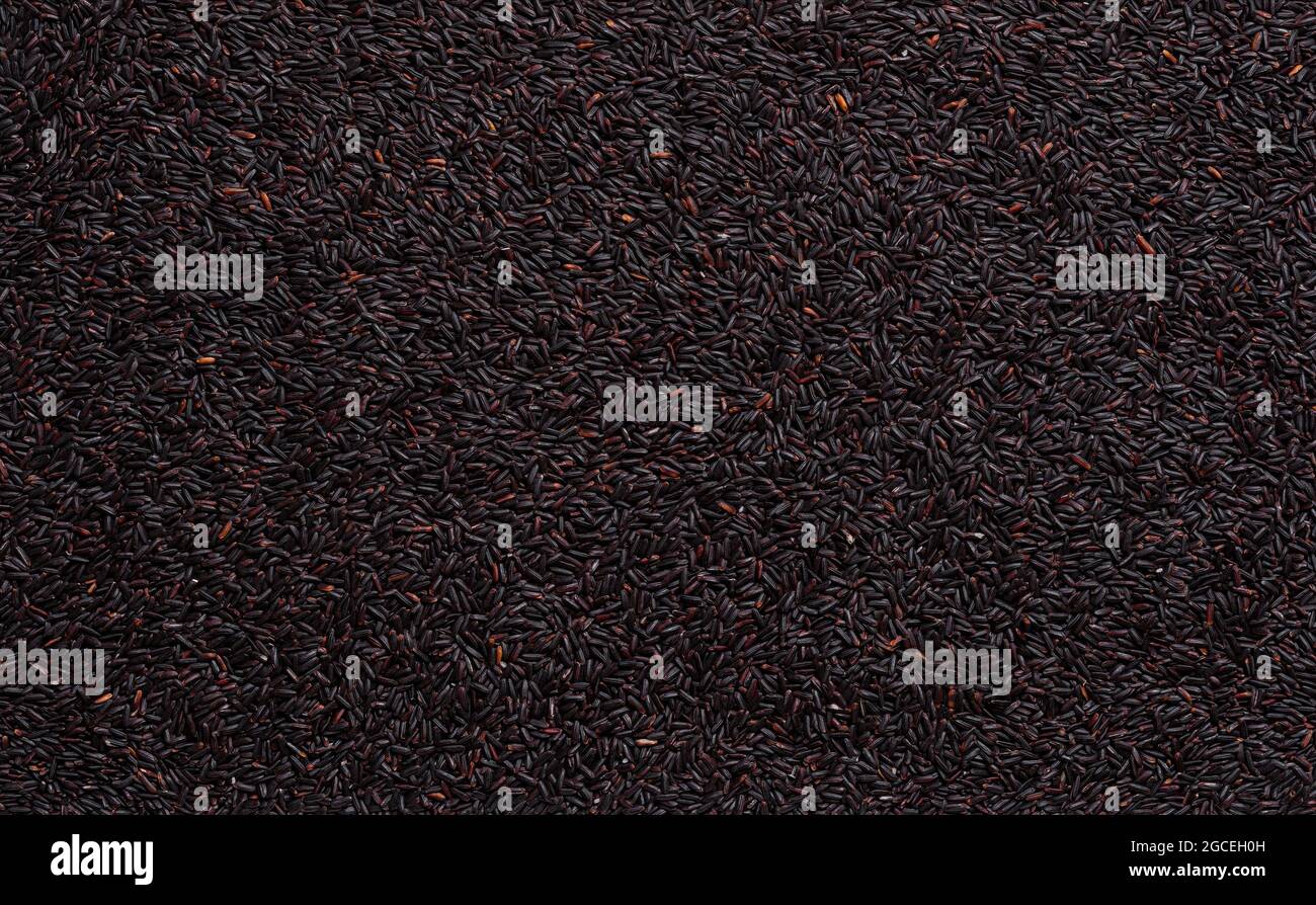Texture of raw black rice for background. Surface of uncooked dark rice ...