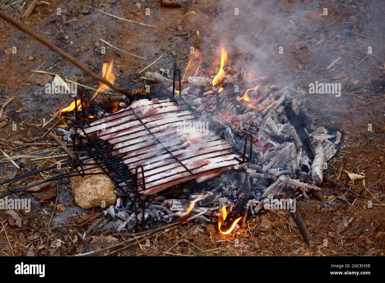 Closeup of a barbecue with pork that is roasting on a bonfire lit in ...