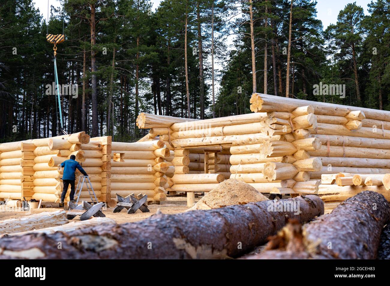 Build a house from logs. Preparation of logs for the assembly of the ...