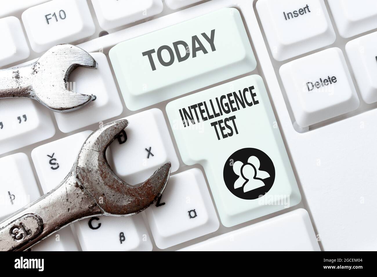 Text caption presenting Intelligence Test. Business showcase test ...