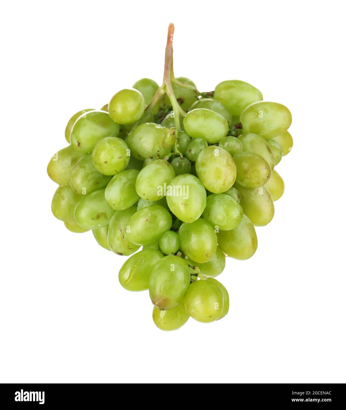 Ripe green grapes isolated on white Stock Photo - Alamy