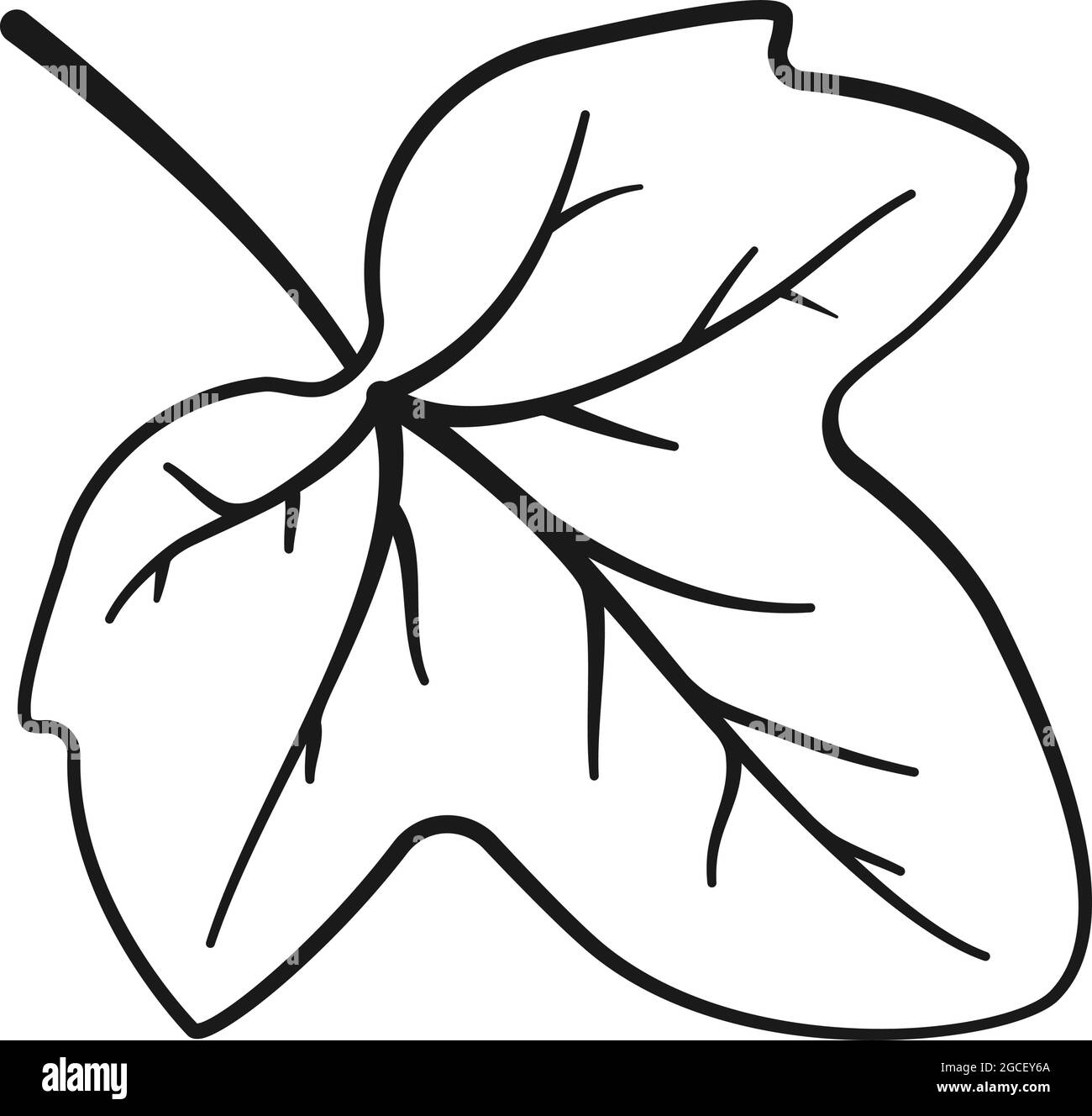 Ivy leaf in outline vector icon Stock Vector Image & Art - Alamy