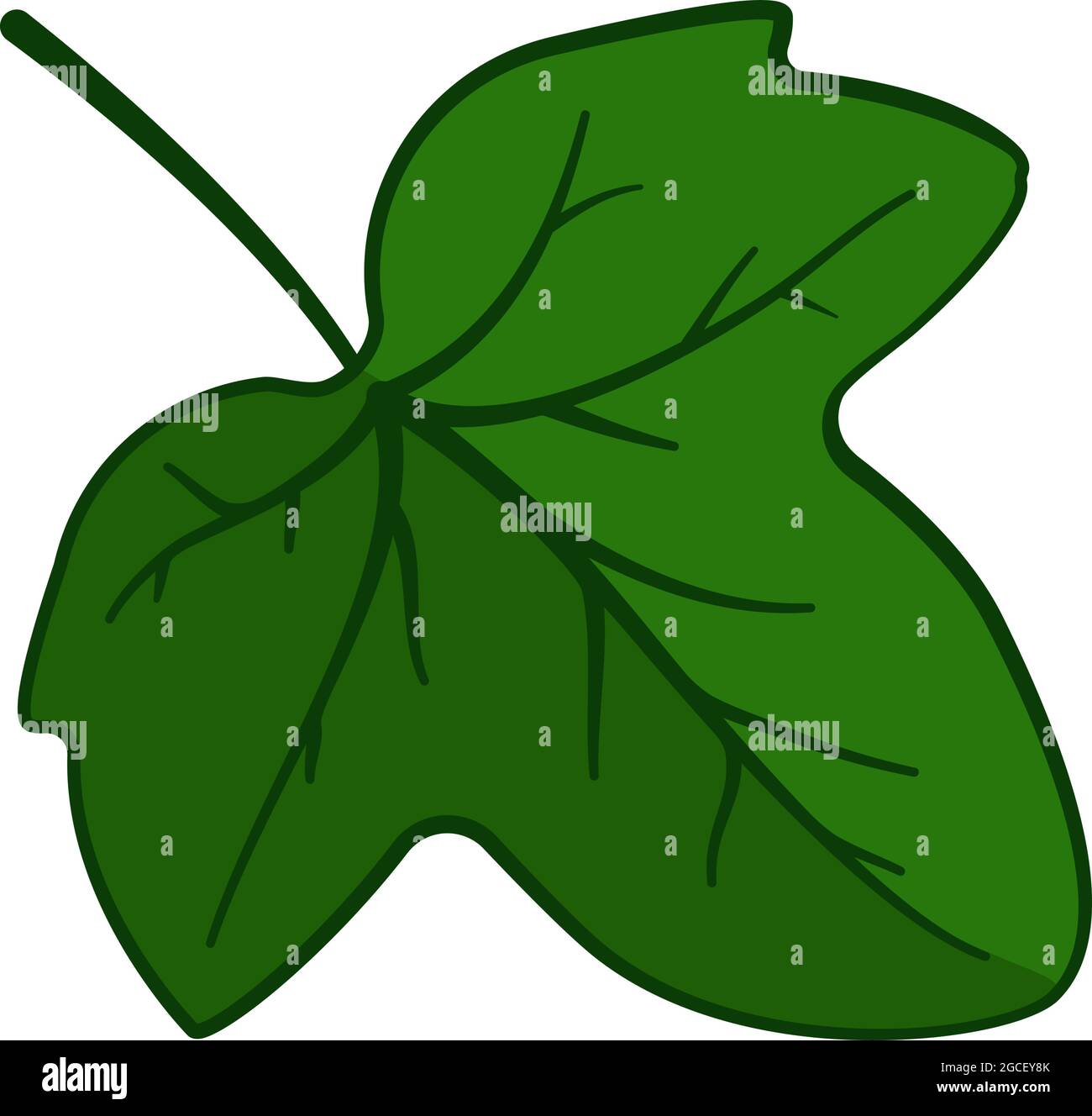 Green ivy leaf in vector icon Stock Vector Image & Art - Alamy